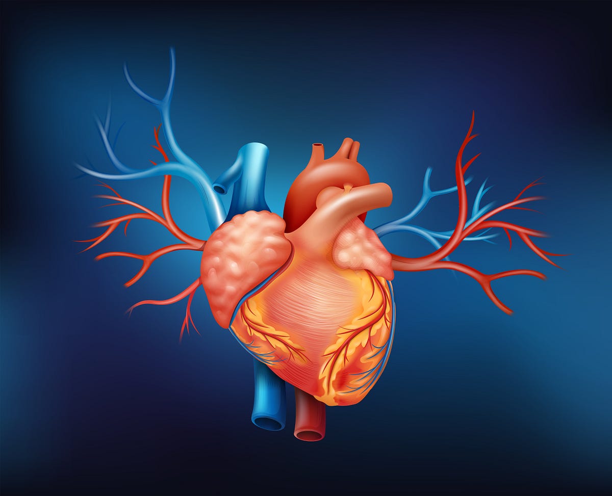 Understanding Heart Disease: Causes, Symptoms, and Prevention | by Dr ...