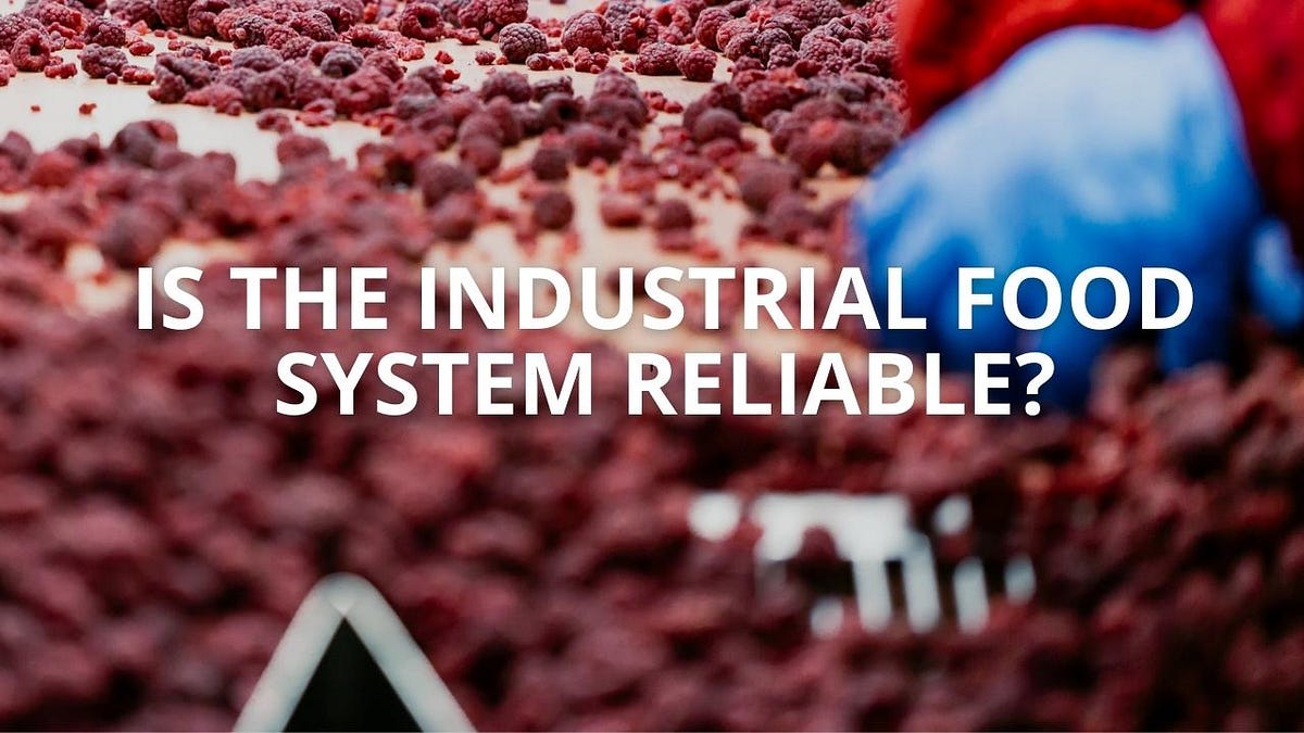 IS THE INDUSTRIAL FOOD SYSTEM RELIABLE? | by Terry S. Memory - Author ...