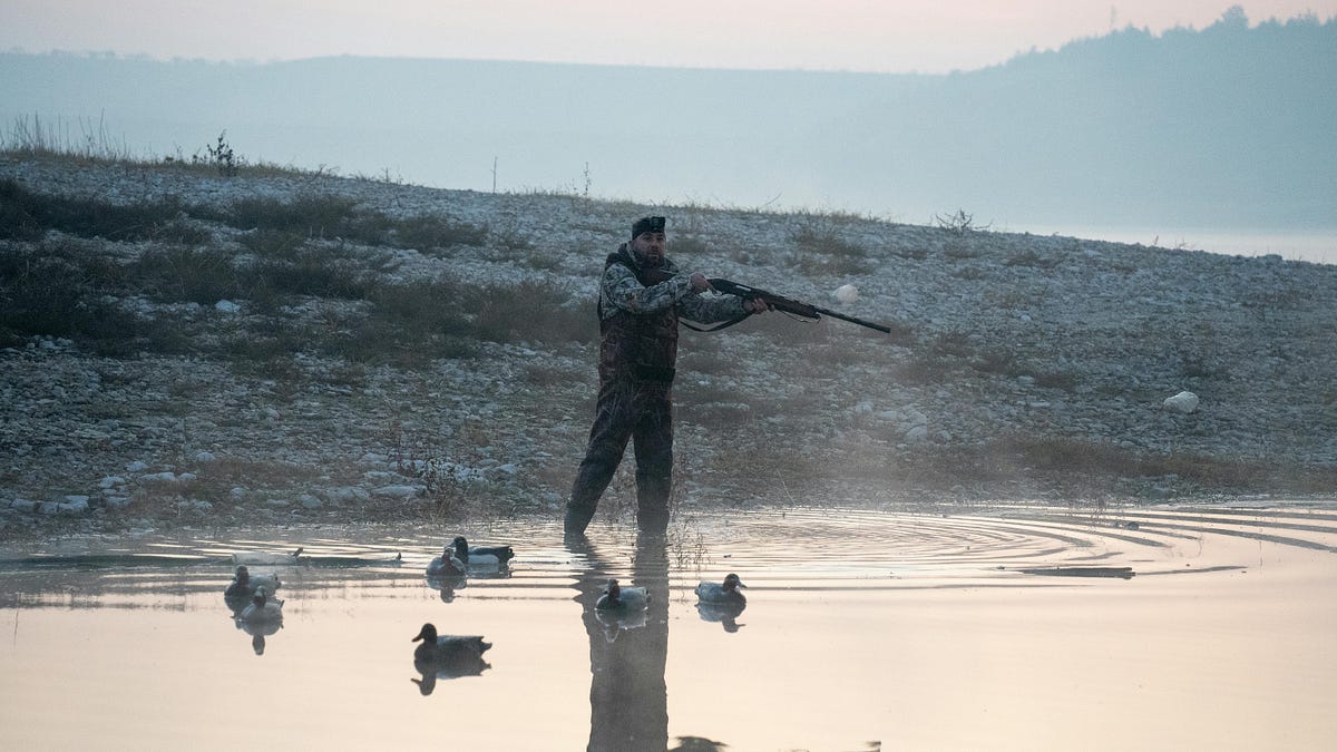 Derek Copeland on Blogger: Published: A Beginner’s Guide to Duck Hunting