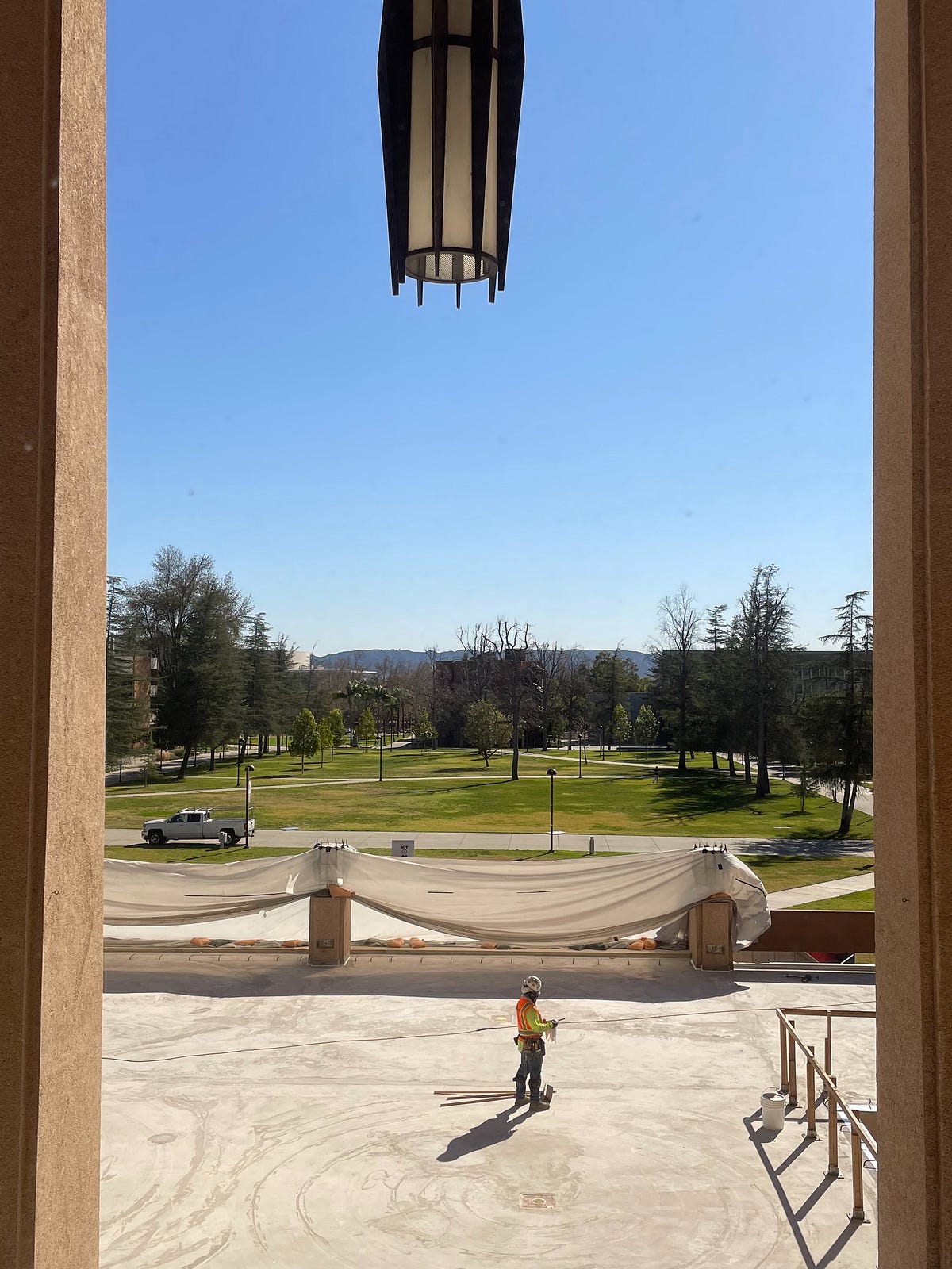 CSUN Online: The Crushing Truth of Zoom Acadamy | by Carolina Tello ...