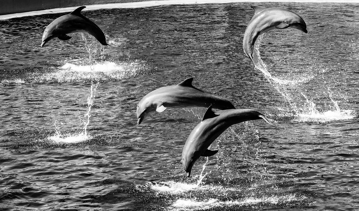 Array.LastIndexOf(). So we have now completed a cycle of… | by Developing Daddy | Medium