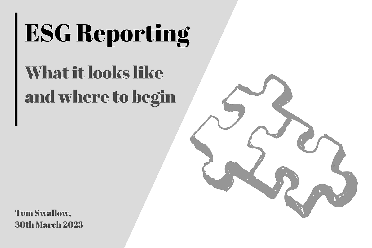 ESG Reporting — What it looks like and where to begin | by Tom Swallow ...