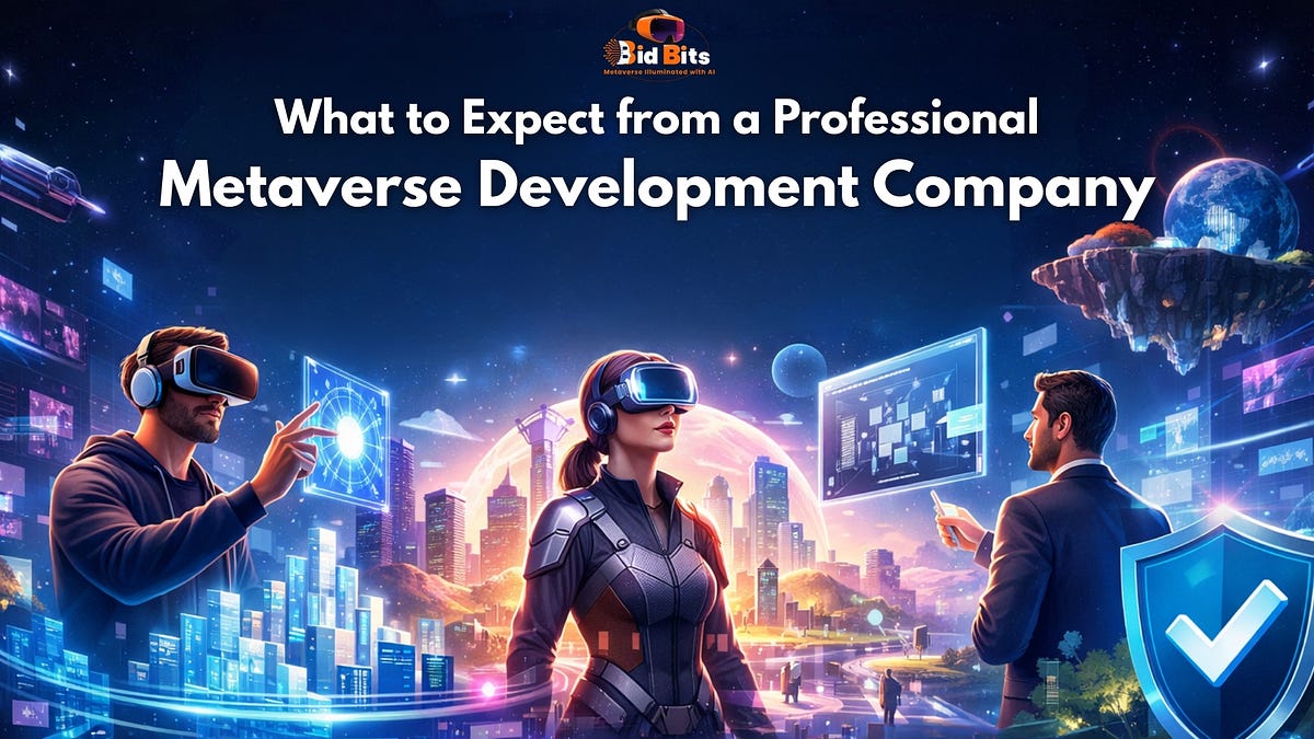 What to Expect from a Professional Metaverse Development Company | by ...