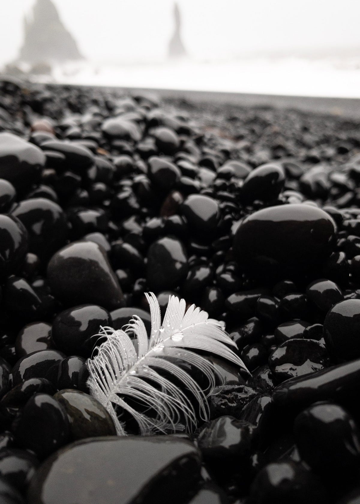 Powerless. A Poem | by J.D. Harms | Medium