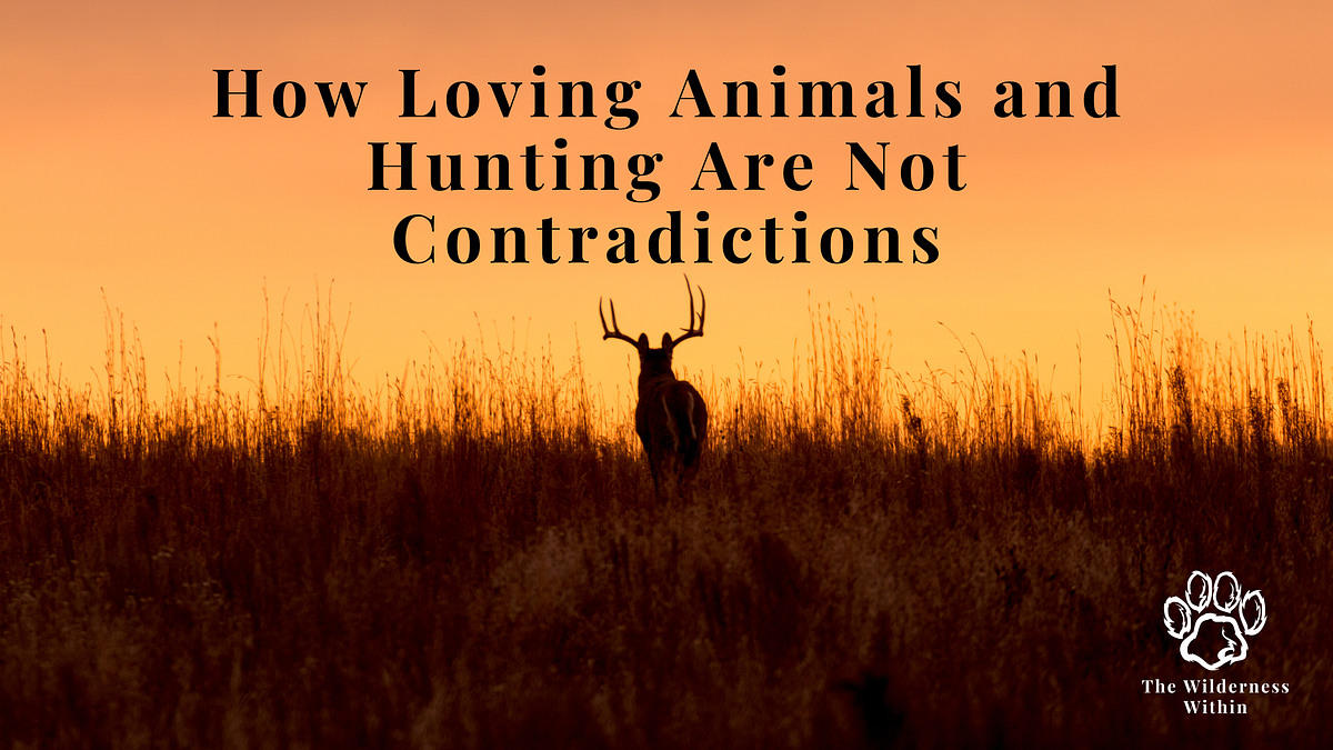 Why Loving Animals and Hunting Them Are Not Contradictions | by Chris ...
