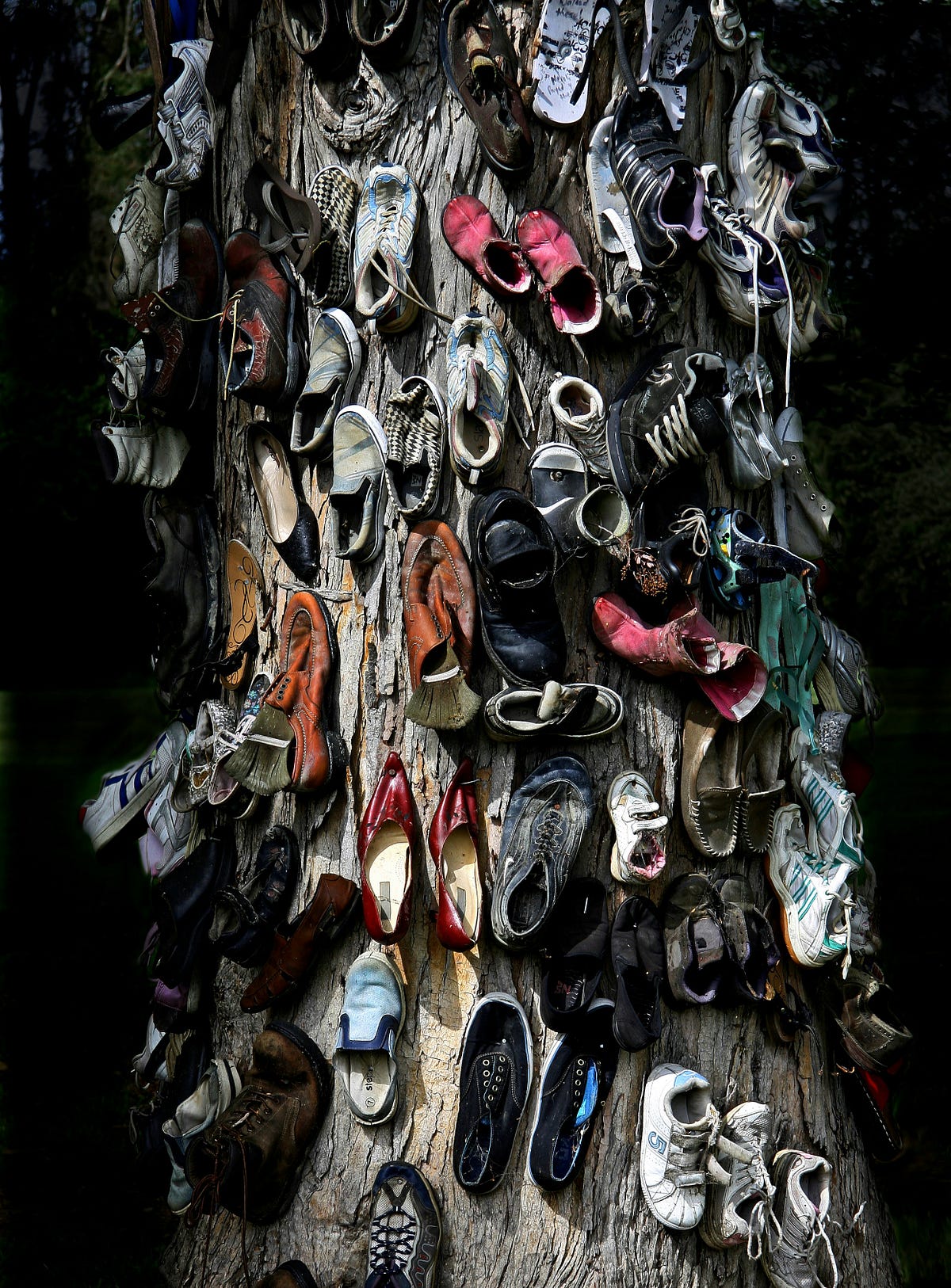 From Under the Shoe Tree. It finally dropped | by K.B. Silver ...
