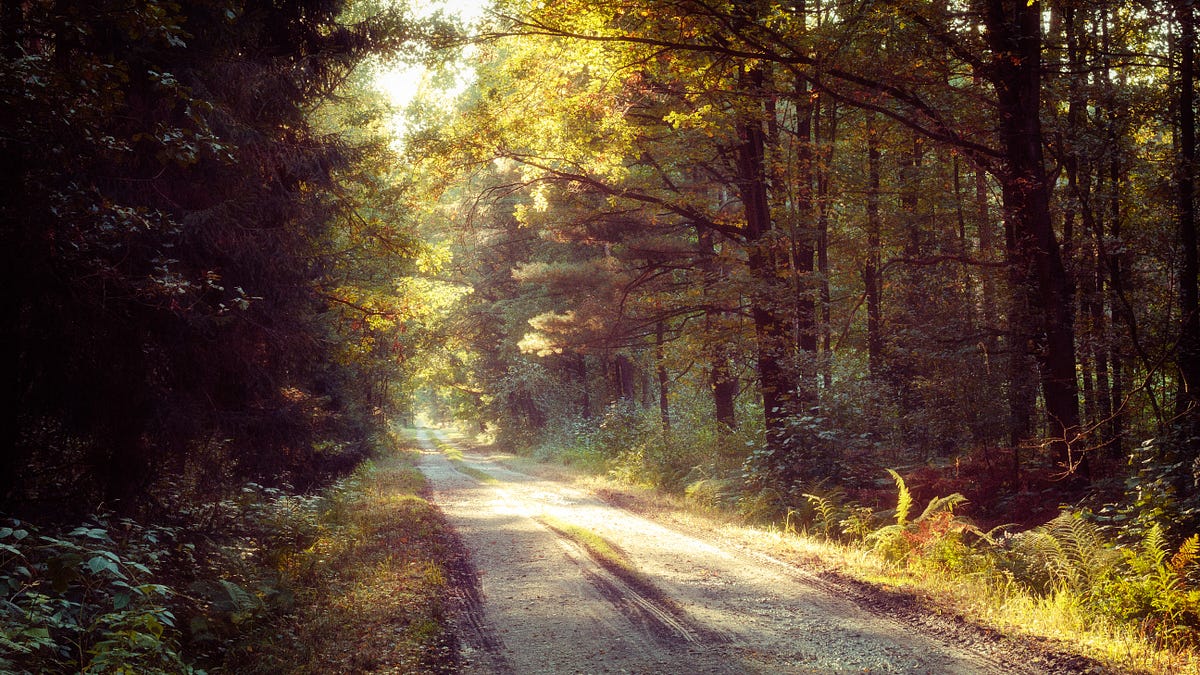 My Turn At Last. Midlife brings a new chapter of… | by Lisa Wathen ...