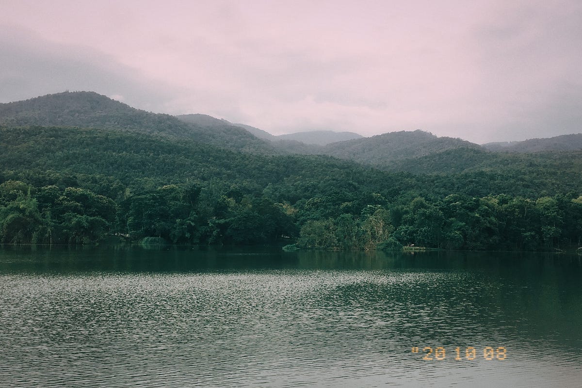 Feeling Deeply in a Shallow Culture | by CW | Medium