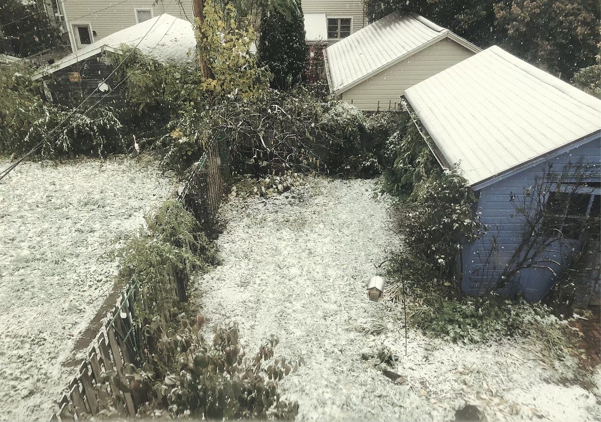 The first snowfall of the season. Termination dust, or something else ...