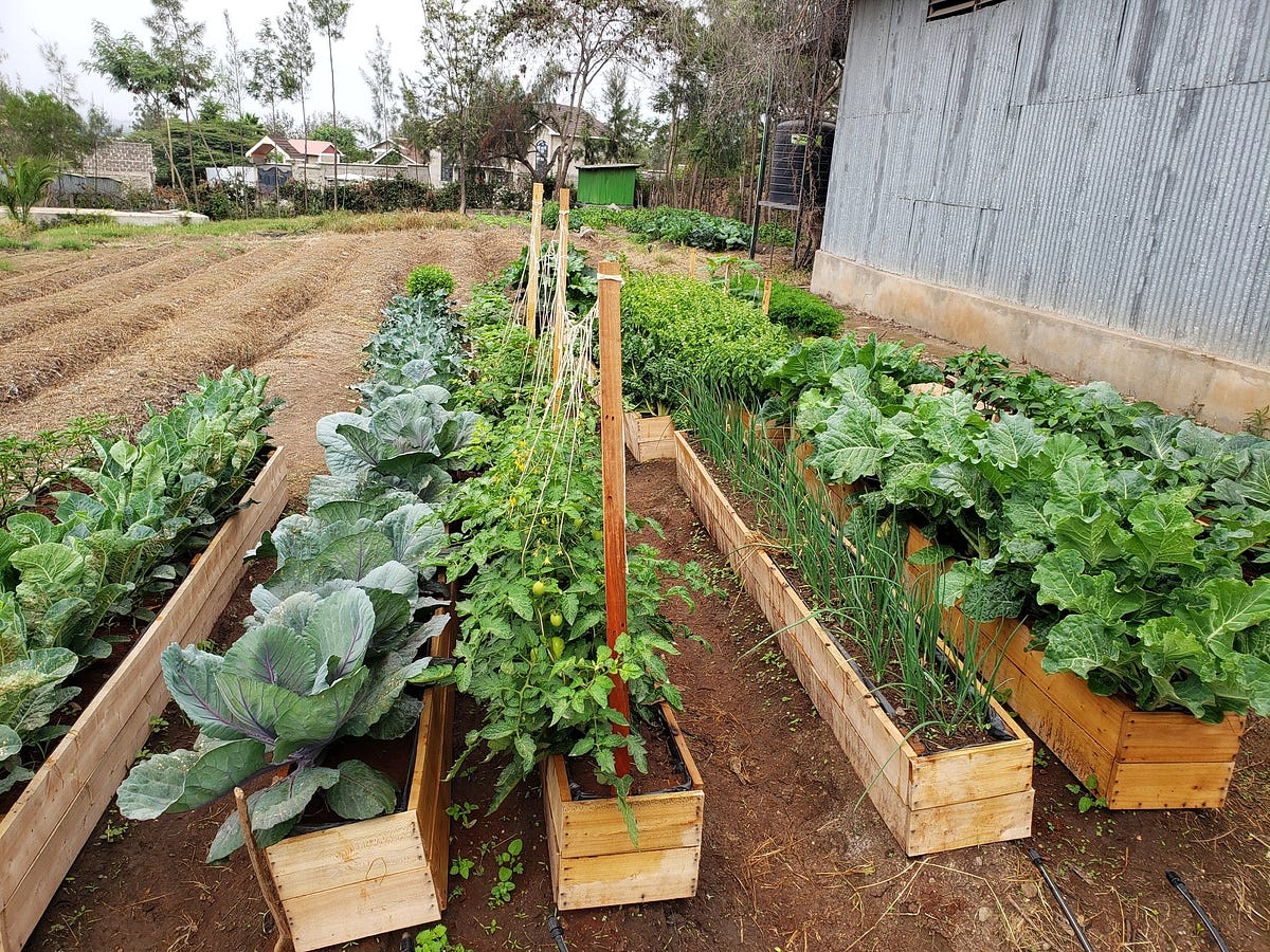 What Covid-19 teaches us about the importance of food self-sufficiency ...