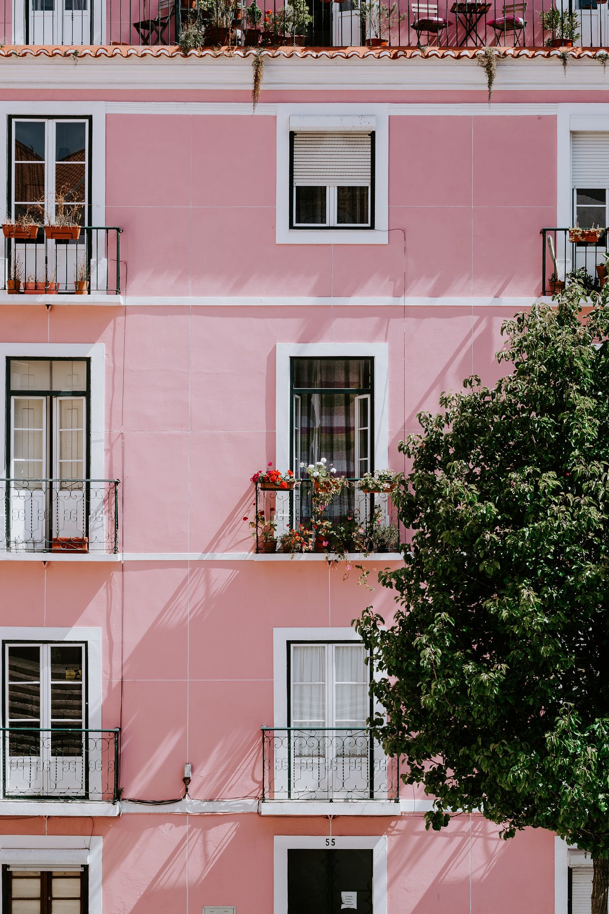 Summer Shadows. Have you ever noticed the long shadows… | by Scott B ...