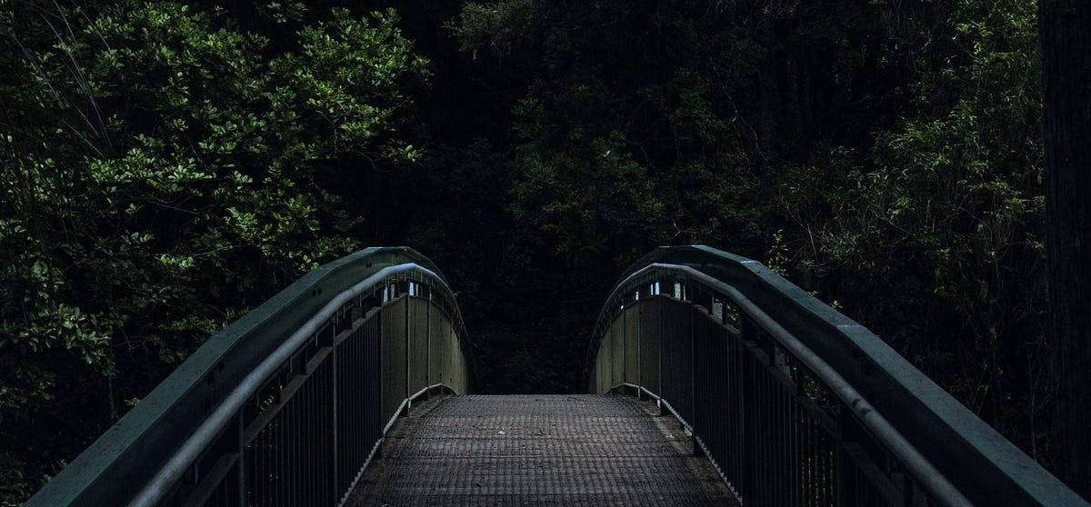 What it is to Be Suspended. A poem | by Hugh Reiner | Morning Poems ...