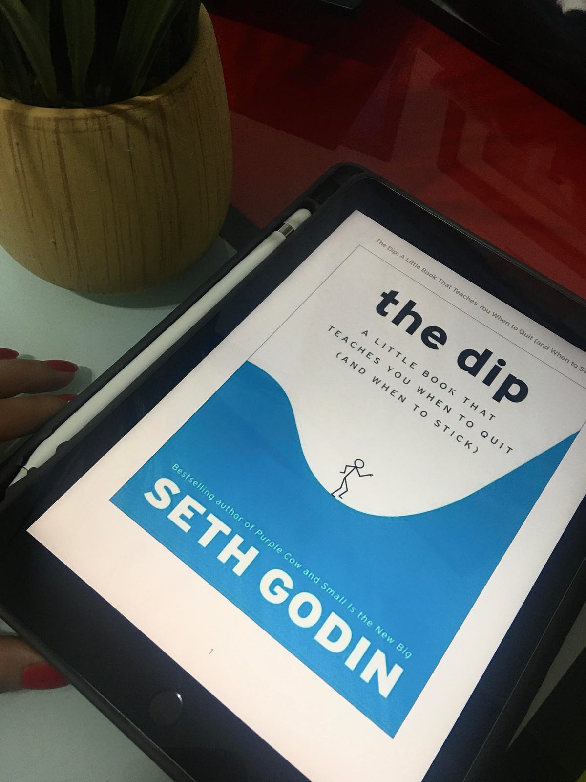 The Dip — Seth Godin [Book 2/52]. Review of Book 2/52 of My 52 Book ...