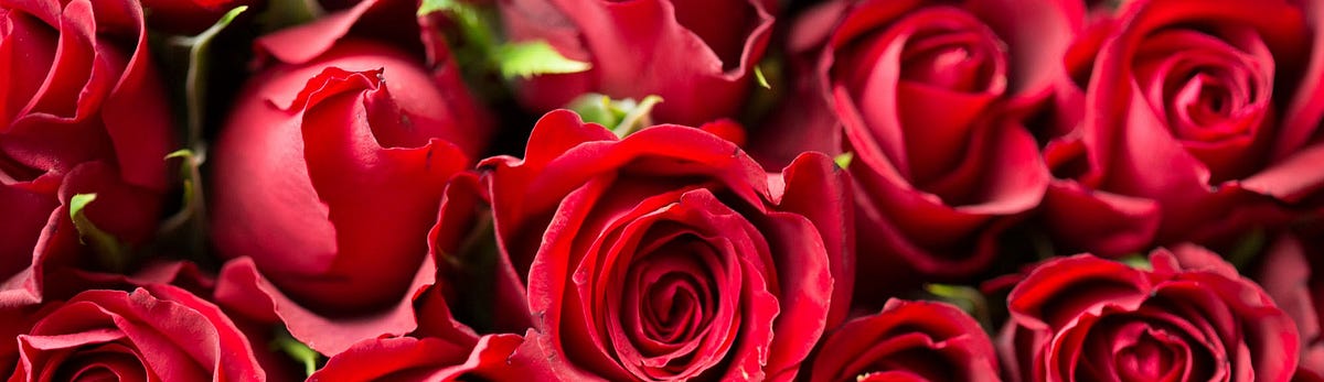 Sometimes roses really smell like 💩 | by Deandra D. | Medium