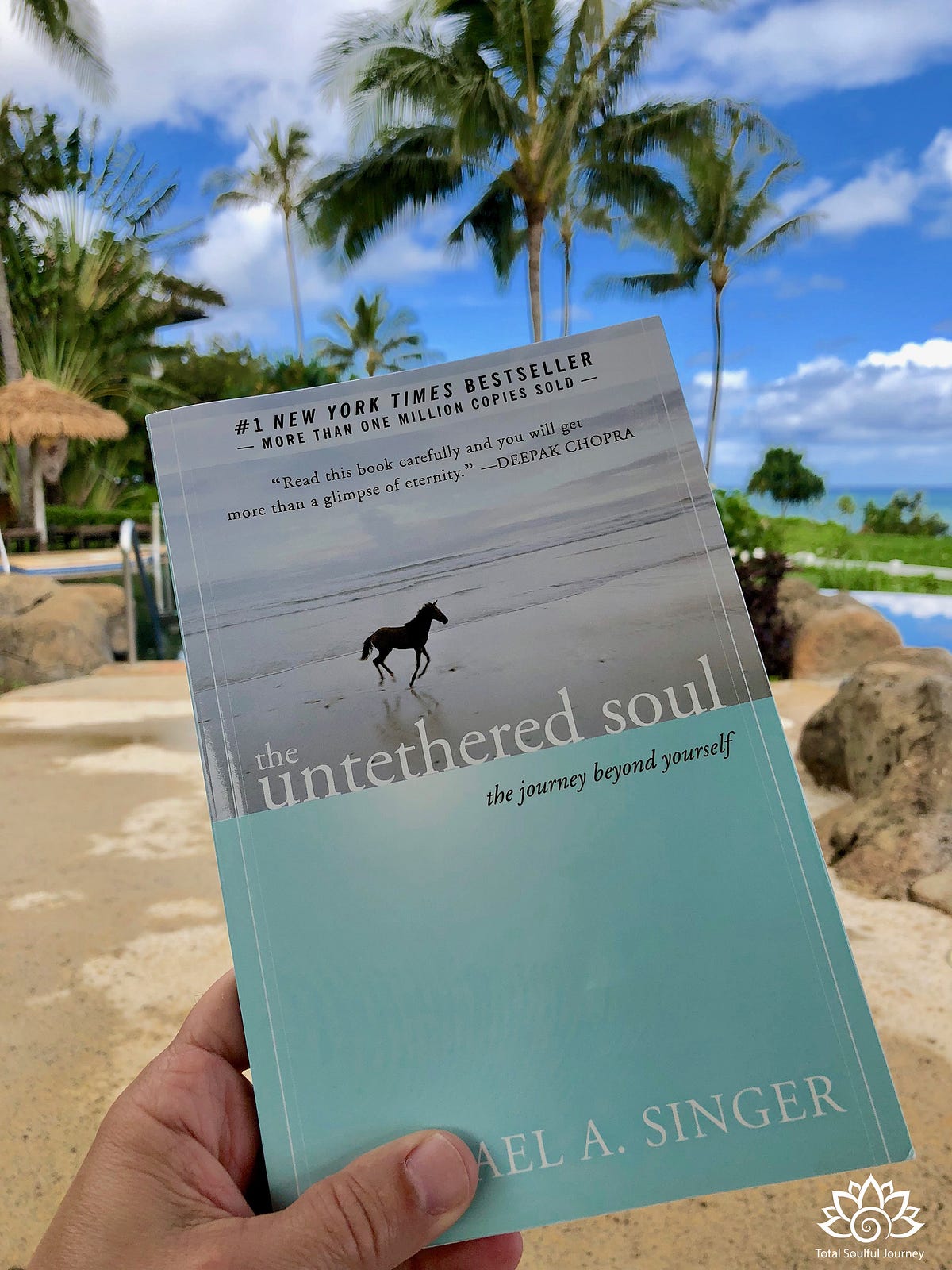 172 Lessons from the Untethered Soul | by Nicolas Perez | Medium