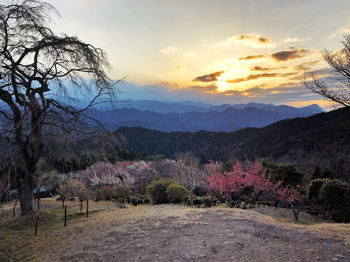 6 Things You Wouldn’t Think Of Doing In Tokyo | by Joleen Lee | Medium