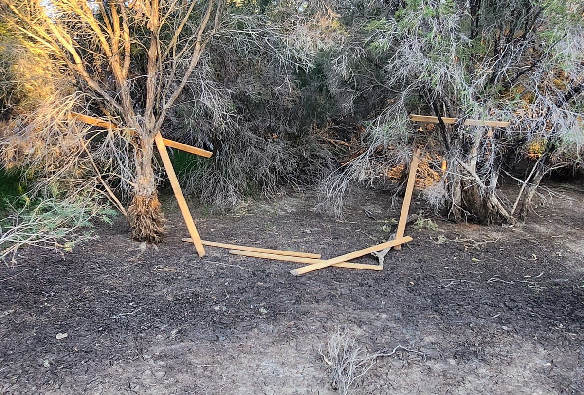 Anna — the Russian widow. My today story starts with an image as… | by ...