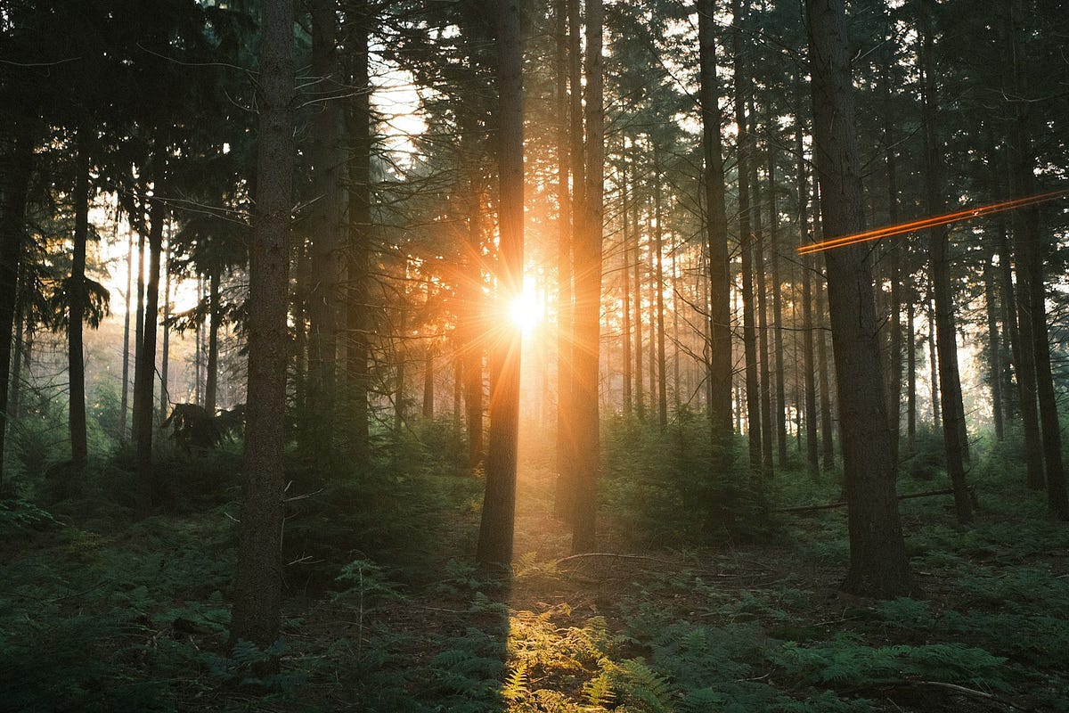 Feeling Good Isn’t Wrong. And acting like a martyr isn’t right… | by ...