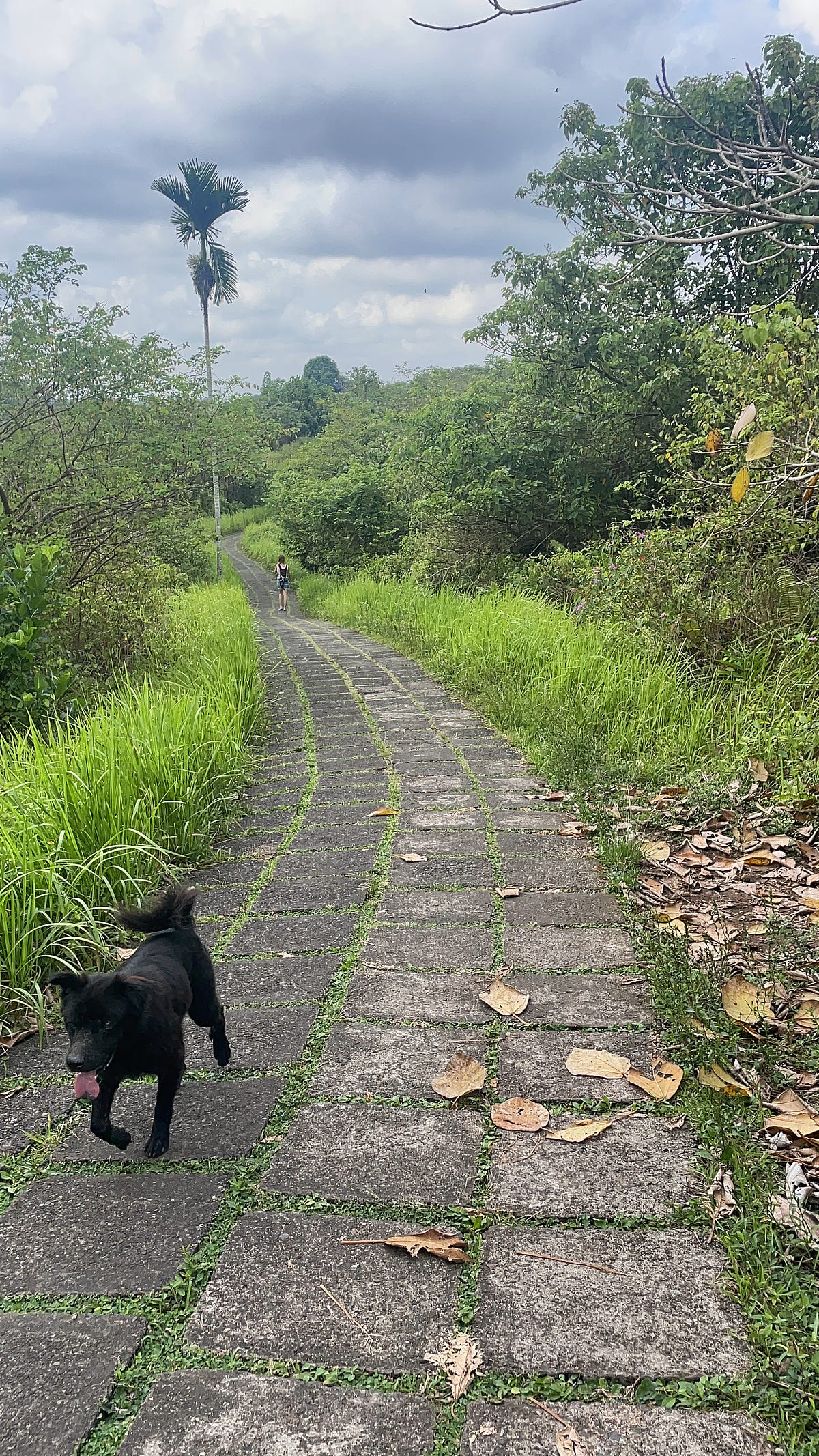Finding Peace Amidst the Chaos. The past has a way of leaving lasting ...