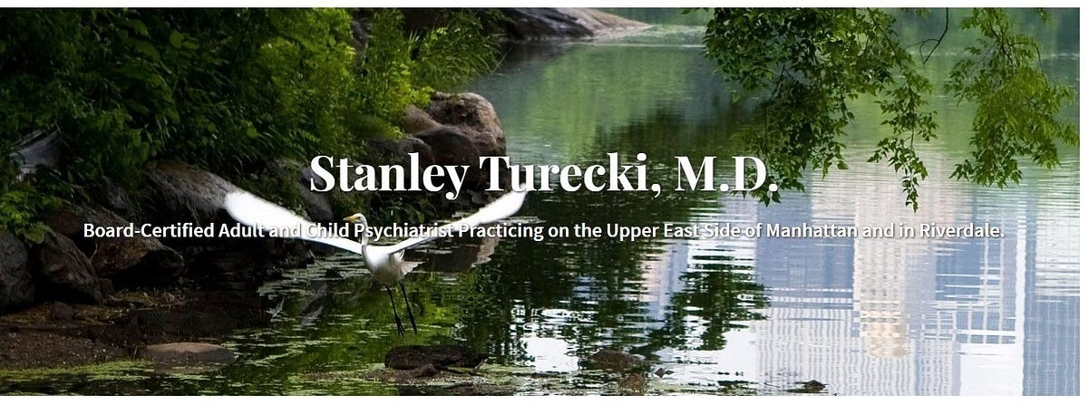 Best Family Psychiatrists Manhattan | by Stanley Turecki — Best Family ...