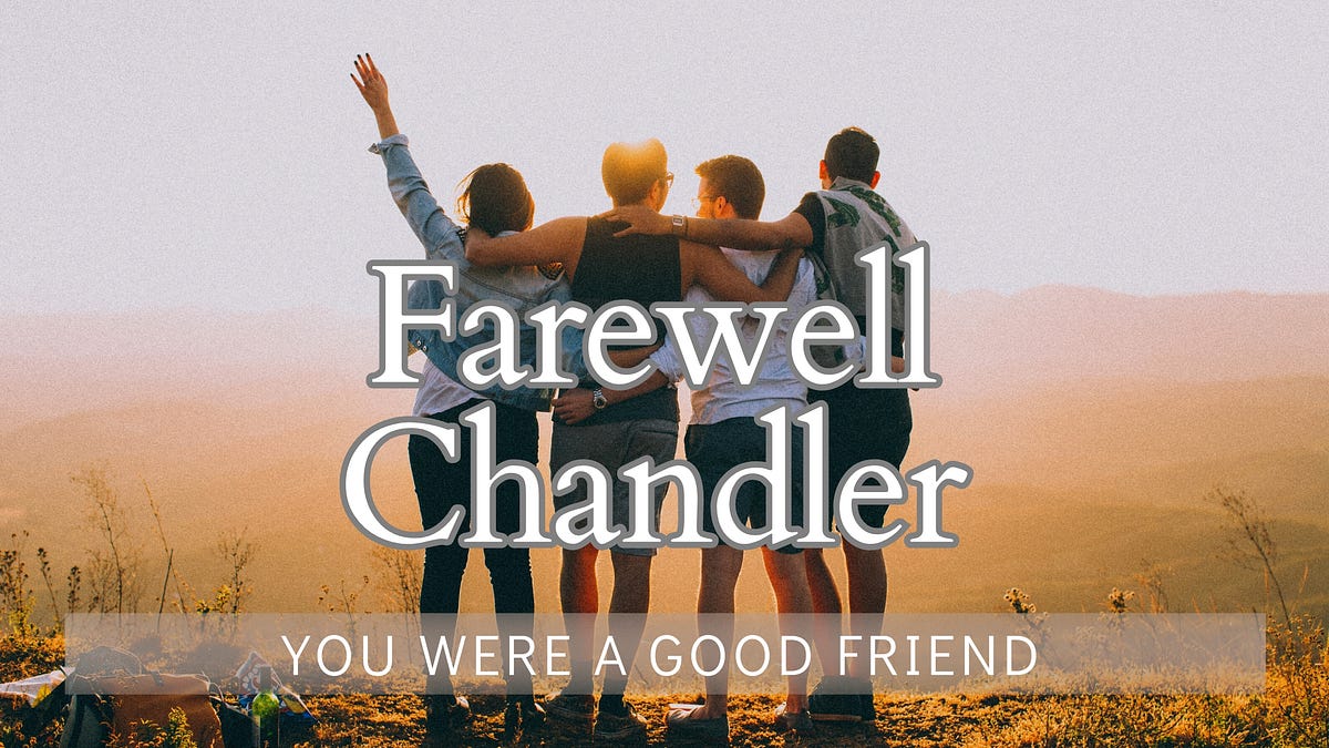Goodbye Chandler. You were a good friend | by Karen Humphries ...