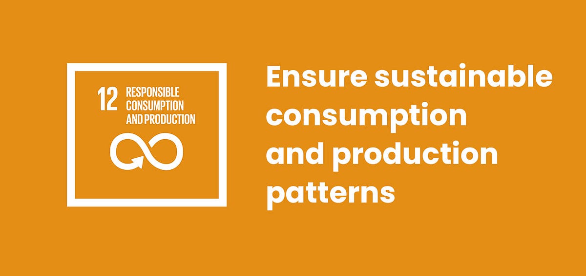 Learn More about the Sustainable Consumption and Production | by ...