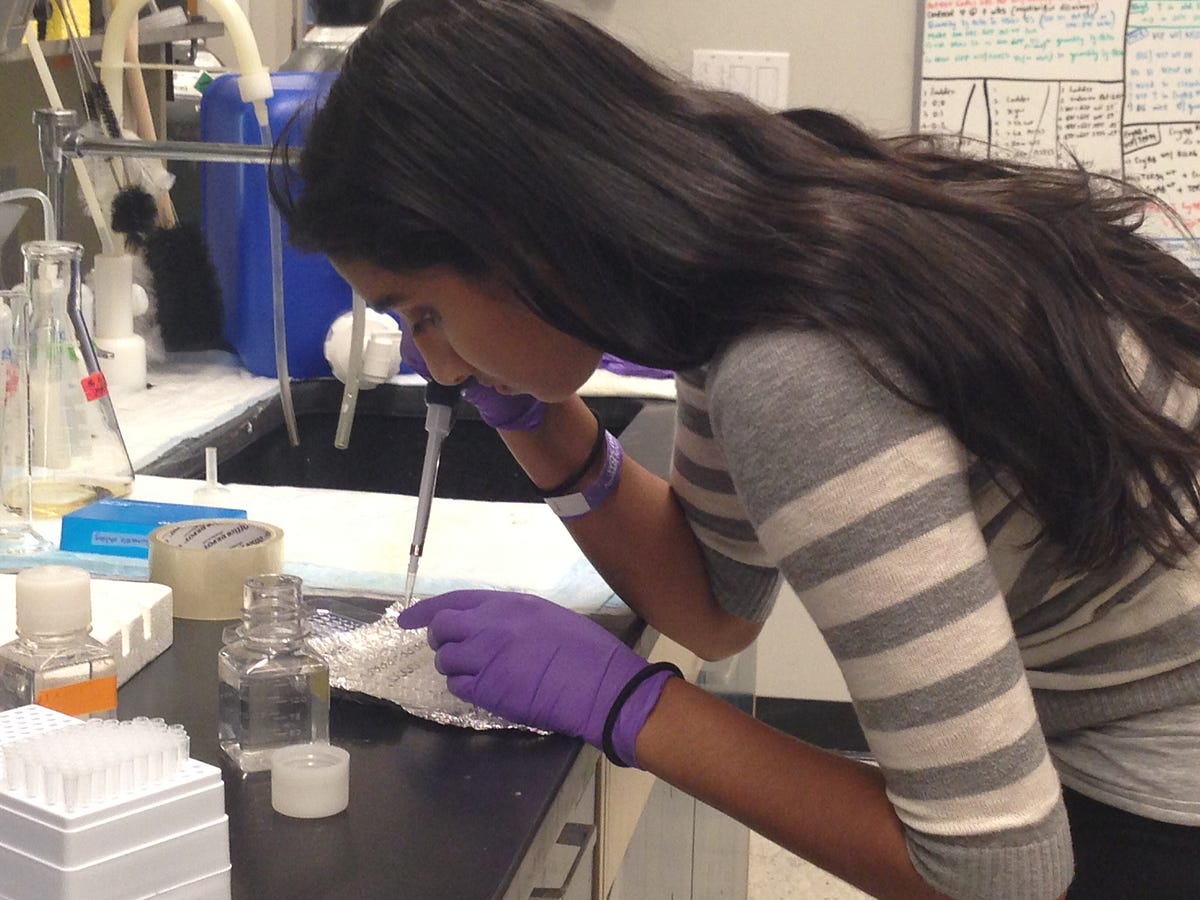 From raising fruit flies in her bedroom to becoming a Regeneron Science ...
