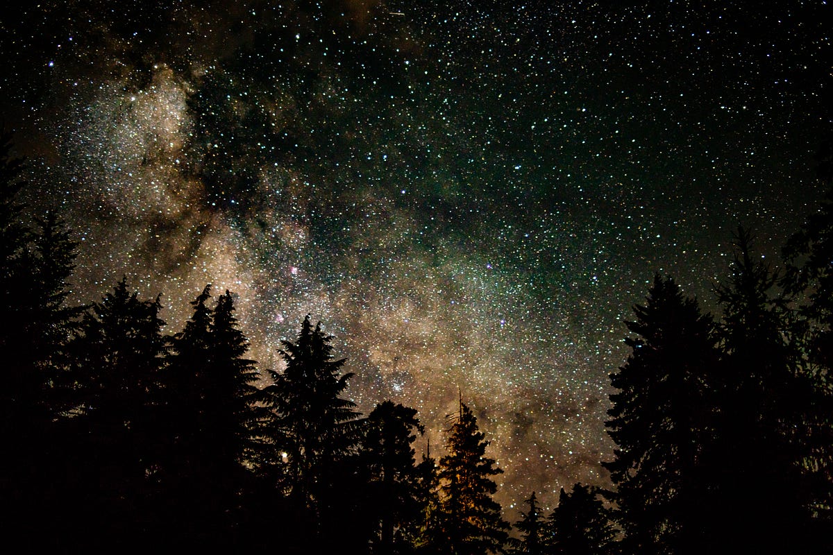 The Trees of Lebanon. A Poem | by Isac Valdez | Of Poetry and People ...