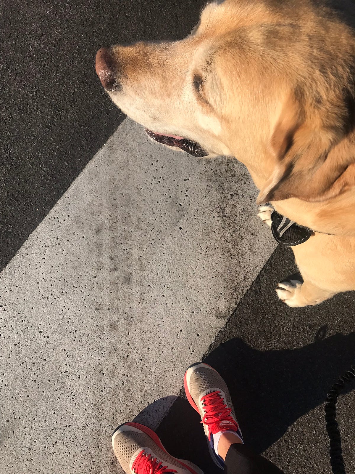 A Poem About the Dichotomy of Life | by Pesky Pippi | Medium