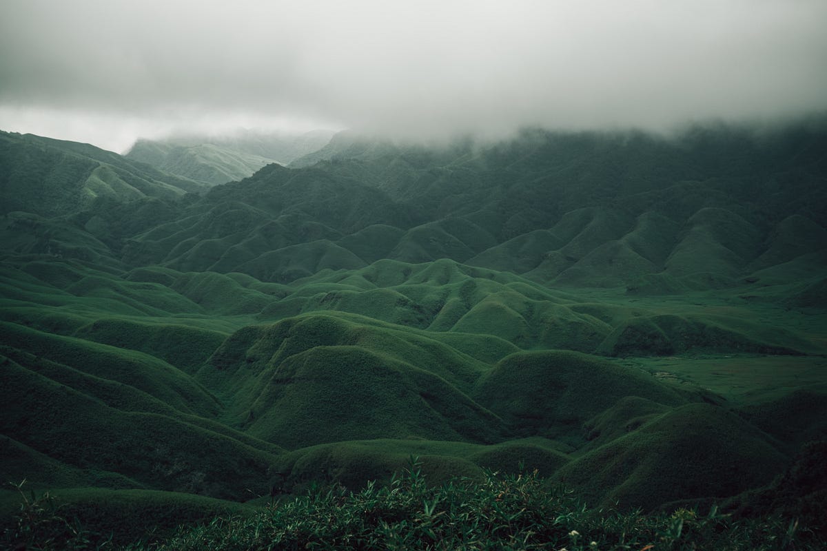 Dzuko Valley — A Breathtaking Experience | by Kishan Rahul | Medium