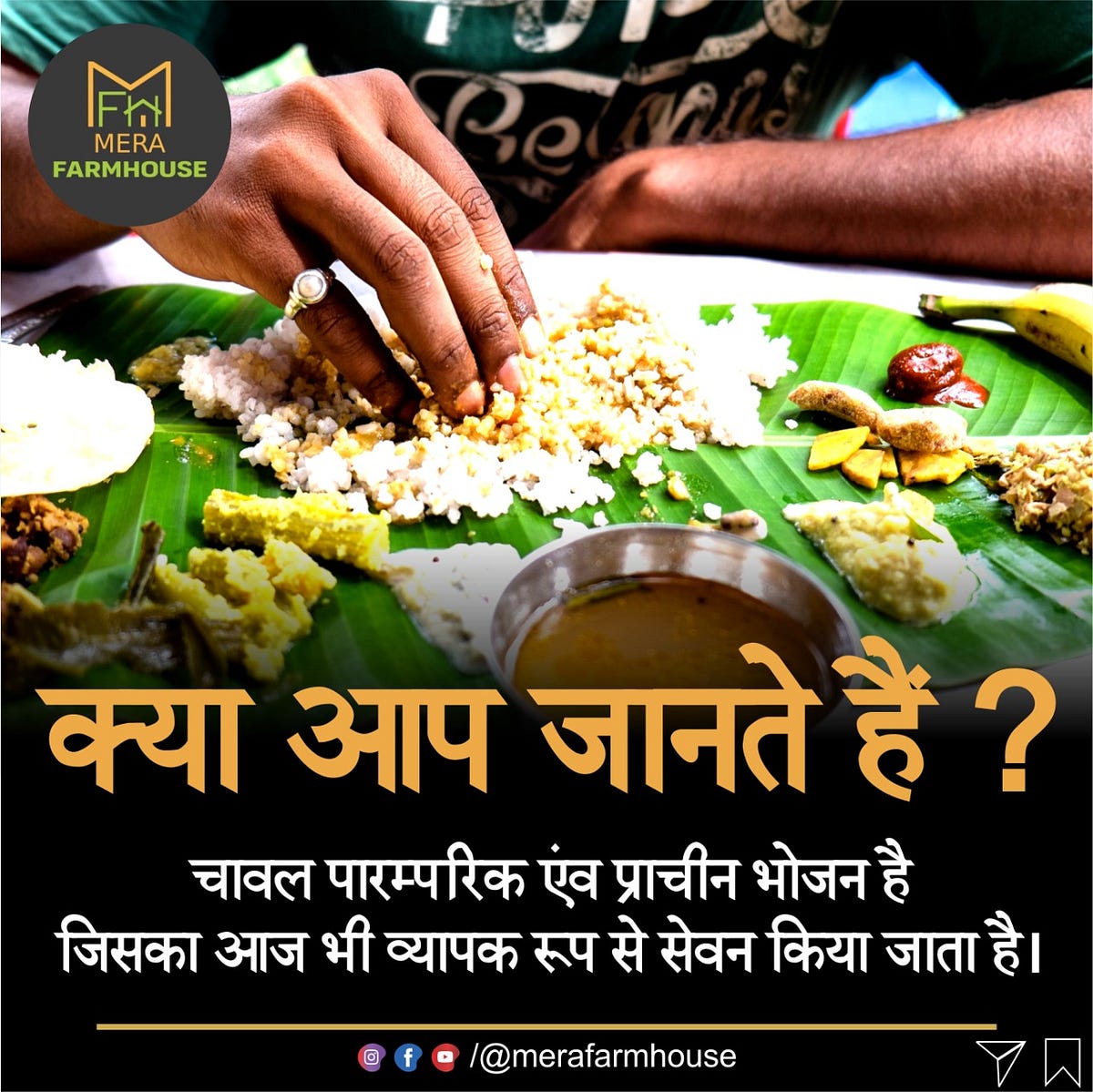 Agriculture Facts - Merafarmhouse - Medium