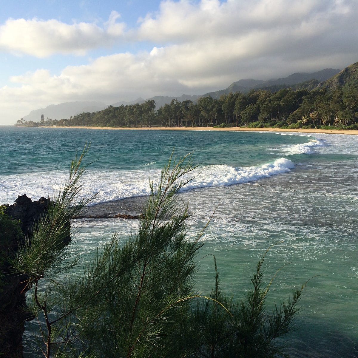 An Island. A Story | by Larissa Runkle | Medium