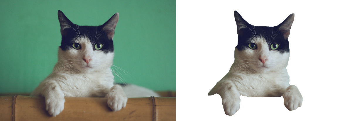 Image Background Removal Using U-2-Net | by Leslie Kaye VM | Medium