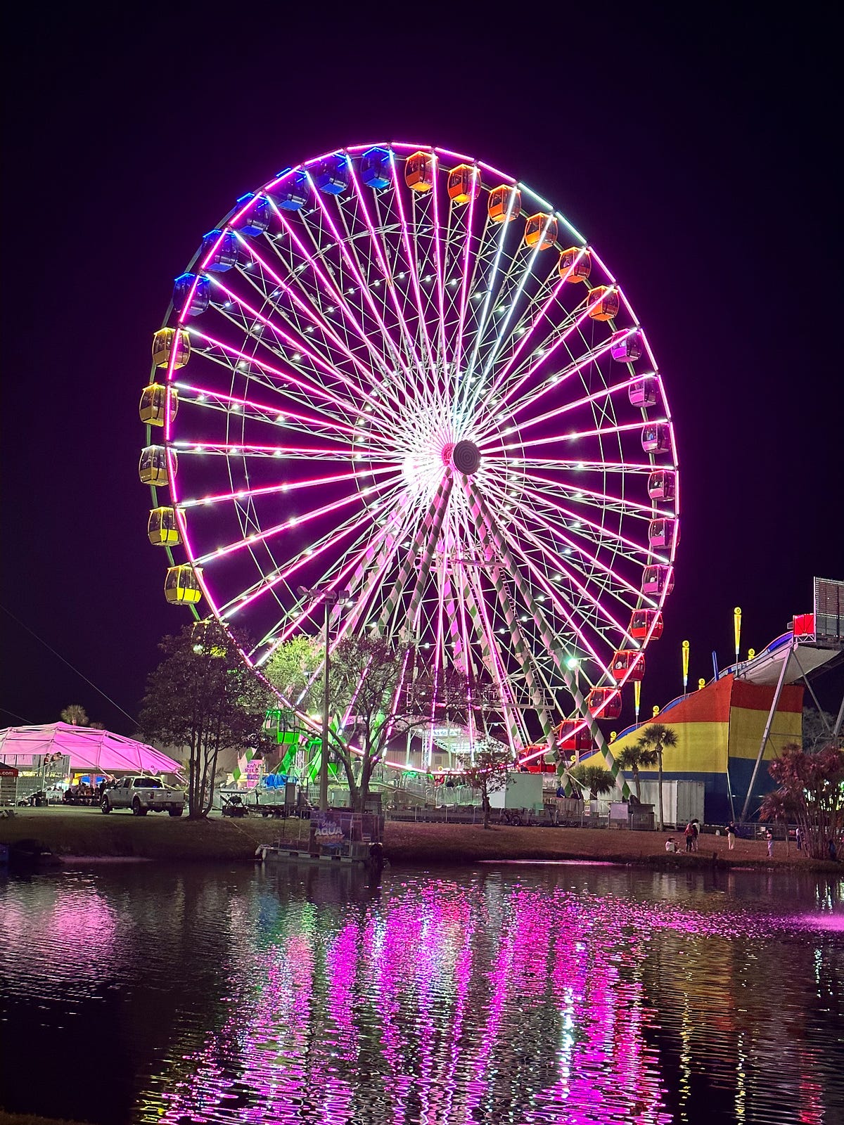 Ferris Wheel - Mayur Menon - Medium