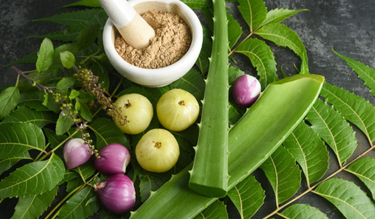 There are several herbal remedies that are believed to be effective in ...