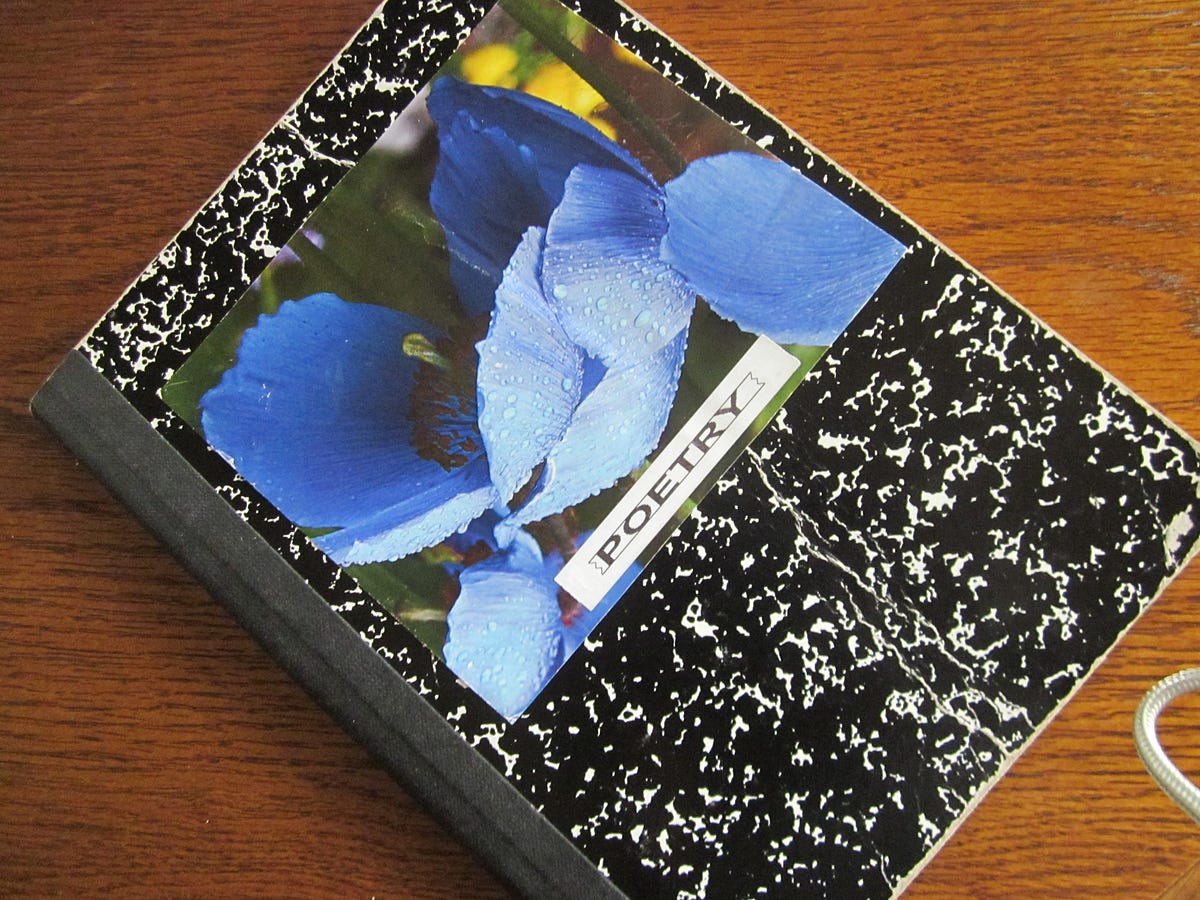 A Poet and Her Notebooks. So, I’m realizing that my process for… | by ...
