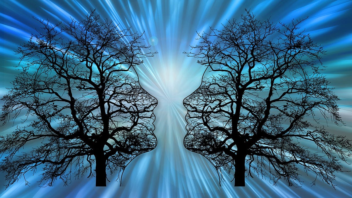 Wholistic Health as Coherence Across Scales | by Galen Meyers | Our ...