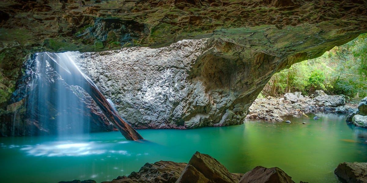 Springbrook National Park Day Trip | by Simply Travelling | Medium
