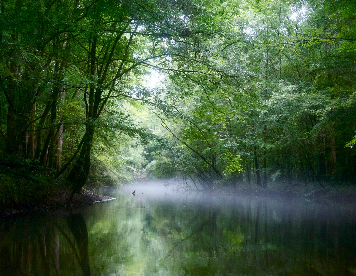 Dumping Sewage in Tarzan’s River. Imagine the greatest freshwater ...