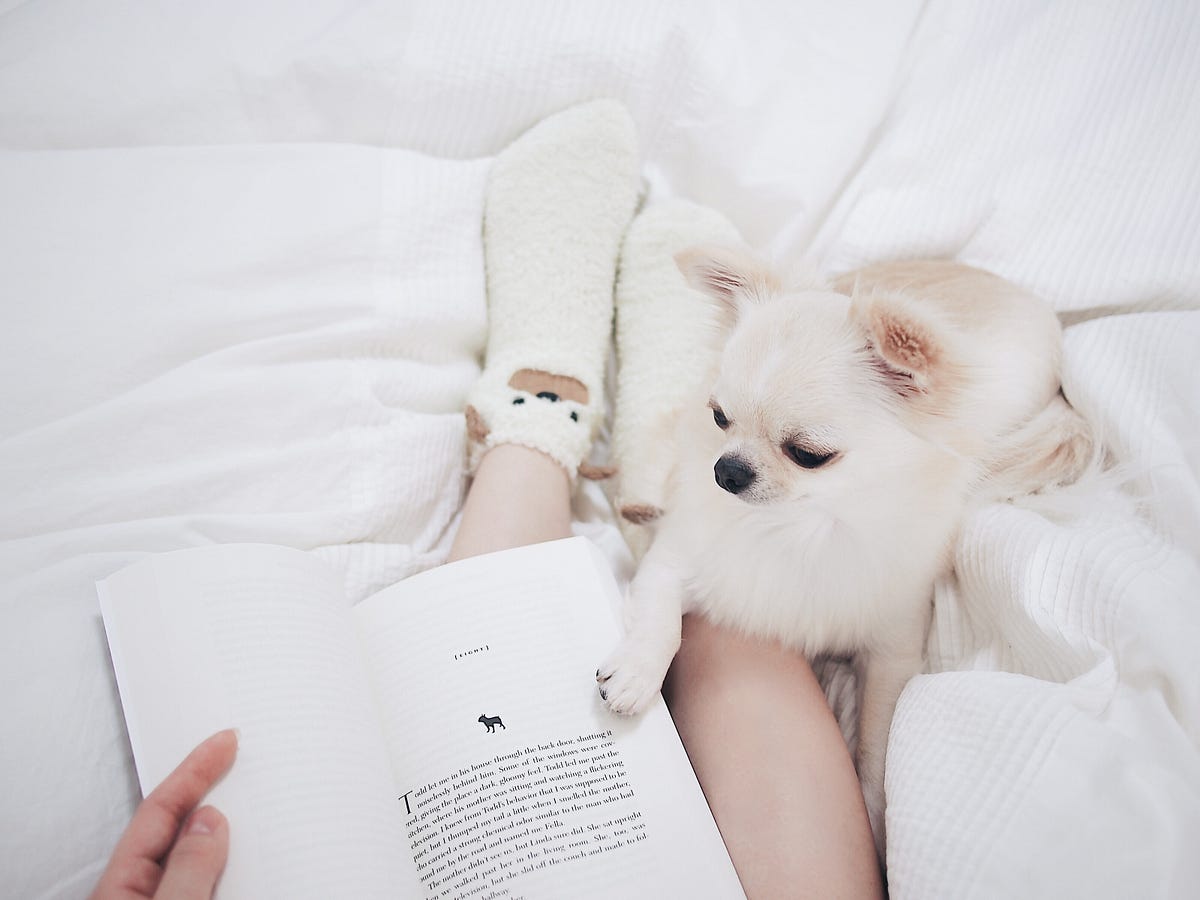 Life Lessons From My Dog Who Is Now Alive but Not Living | by Tracy Luk ...