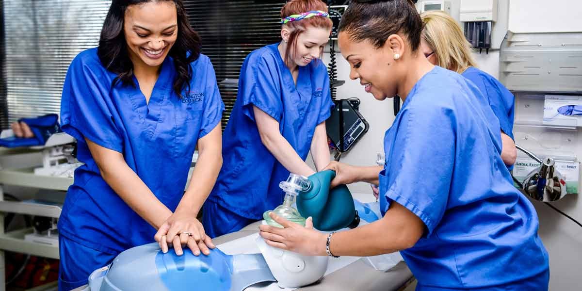 Programs Are Available For The College Education | by Jerry Smith | Medium