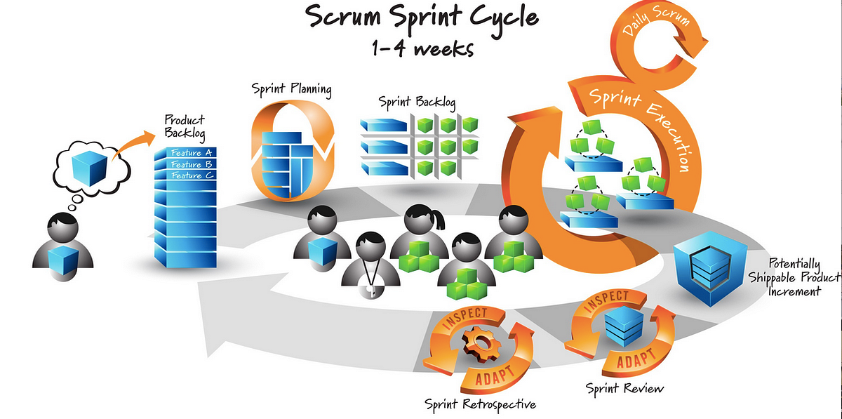 Agile Success. In June 2014 I was hired as a project… | by Herry Pierre-Louis | Medium