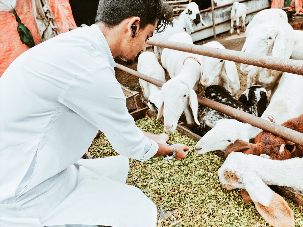 Some acts of compassion. New chat | by Tahir blogs | Medium
