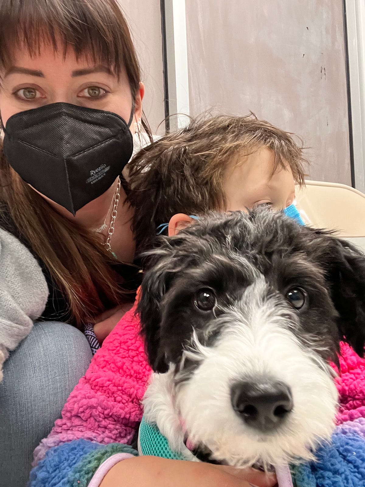 Therapy Dog Chronicles: First day of school | by Stephanie Vail, LMFT ...