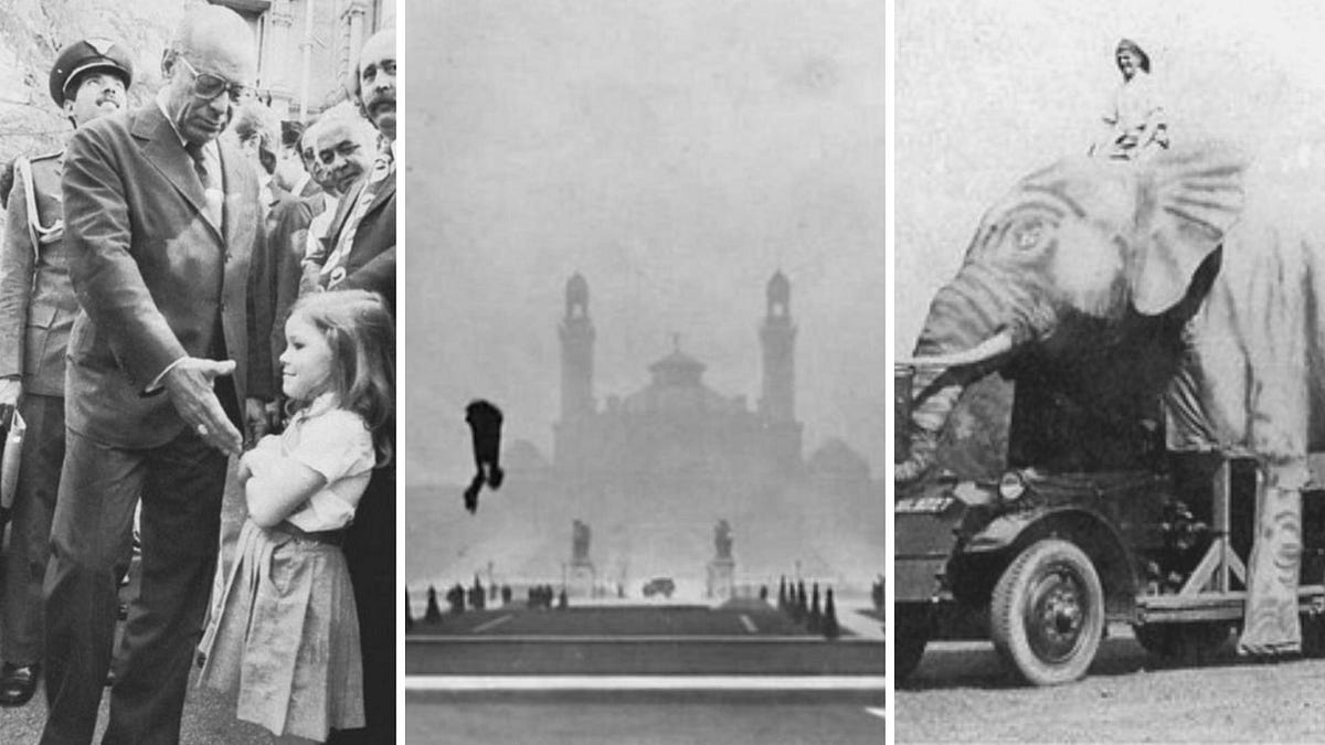 7 One Of A Kind Historical Photos That You Won’t Forget | by Hailey ...