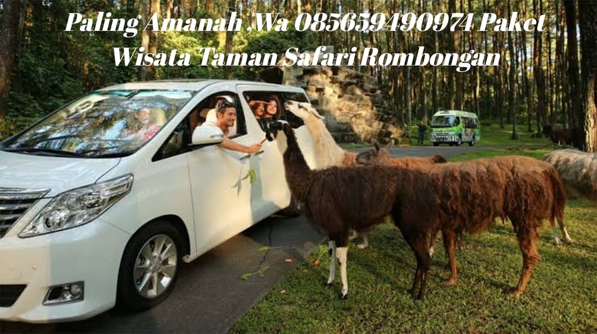 Paling Amanah ,Wa 085659490974 Paket Wisata Taman Safari Rombongan | by Pahmi Ramdani | Medium