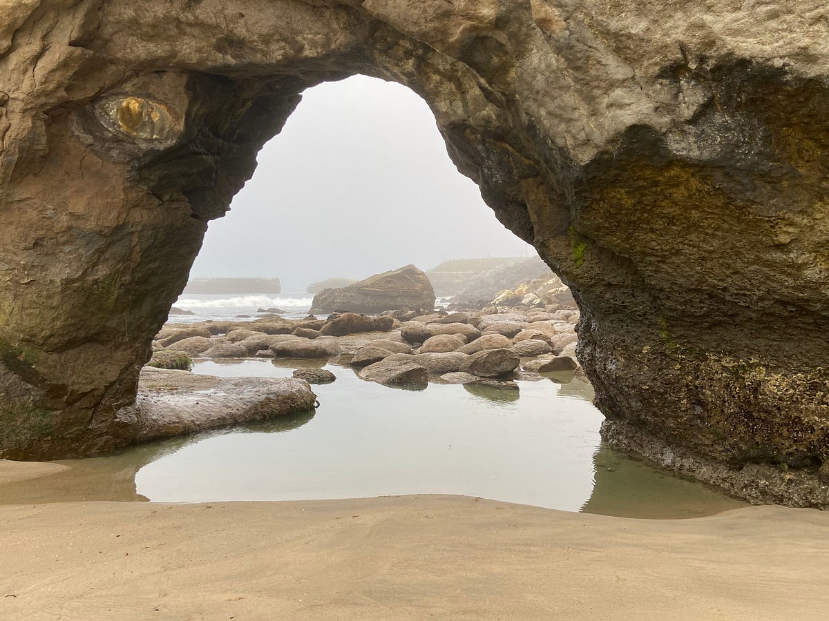 The Hatch (4). Over time the morning regulars at the… | by Doctor Moss ...