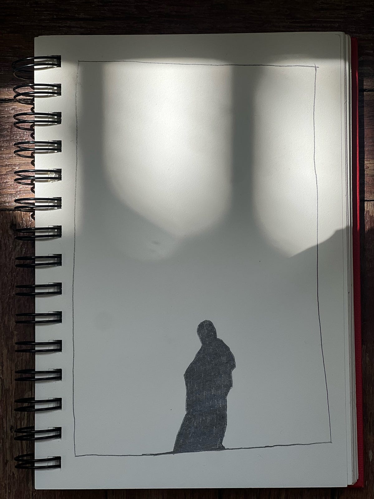 It’s me – the shadow.. These days, it feels like that’s all I… | by ...