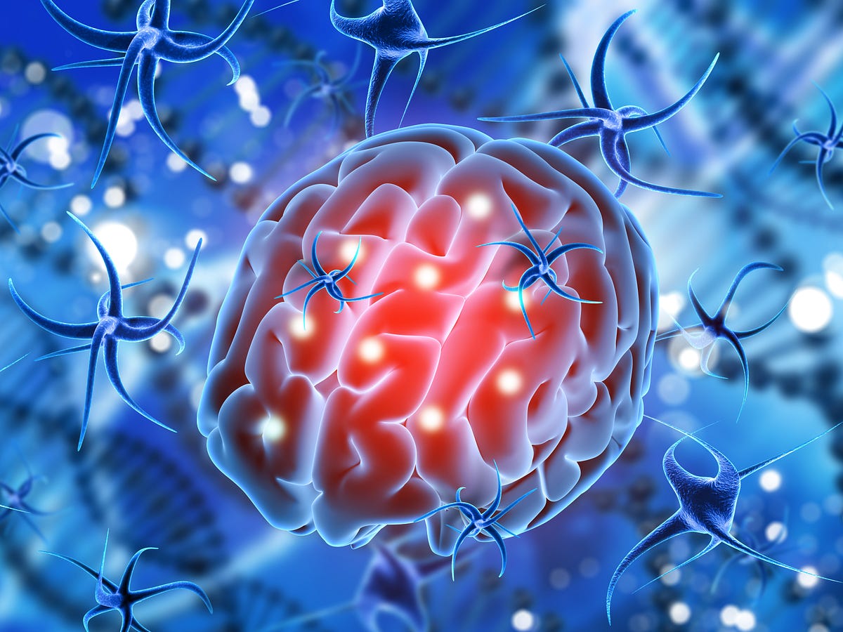 Alzheimer’s Disease And Skin Cancer In The Brain: What They Have In ...
