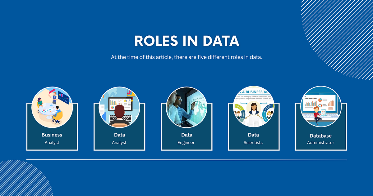 Different Roles in Data. The collection and analysis of data… | by Chinwe Okonkwo | Medium